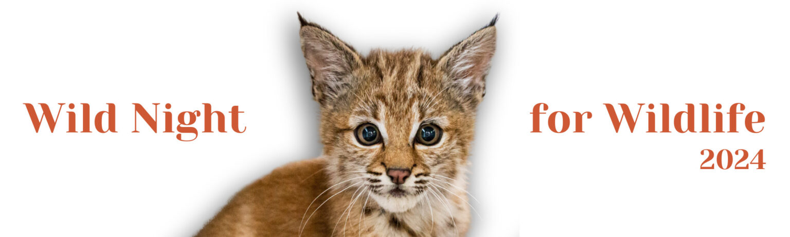 Wild Night for Wildlife – Greenwood Wildlife Rehabilitation Center